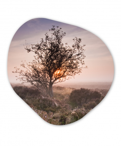 Organische Form Landschaften - Jetzt 30% RABATT! | Lieblingsfoto.de