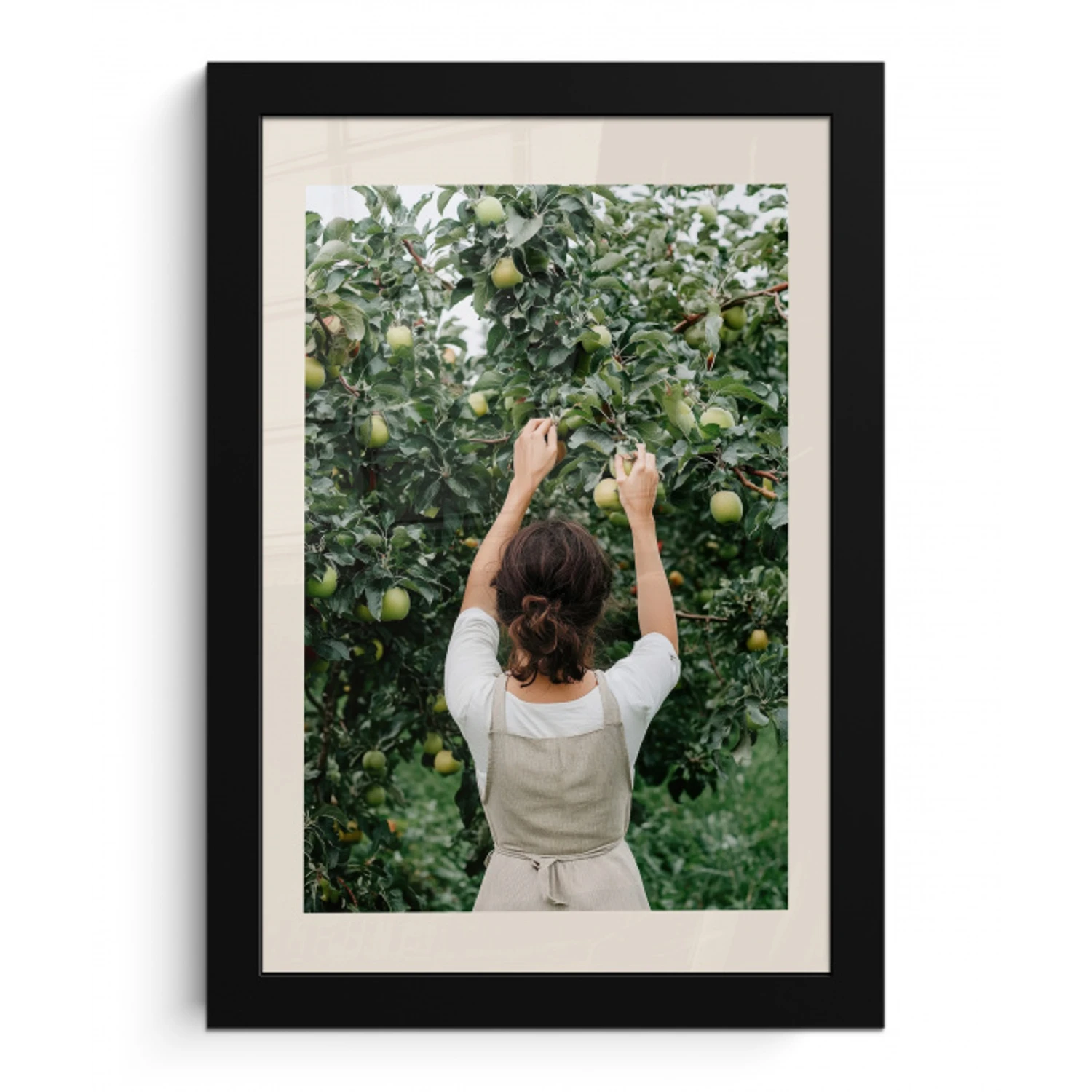 Poster met lijst - Boom - Appels - Plukken - Natuur - Bestel nu ...