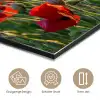 Alu dibond – Blumen - Mohnblumen - Natur - Rot | Lieblingsfoto.de