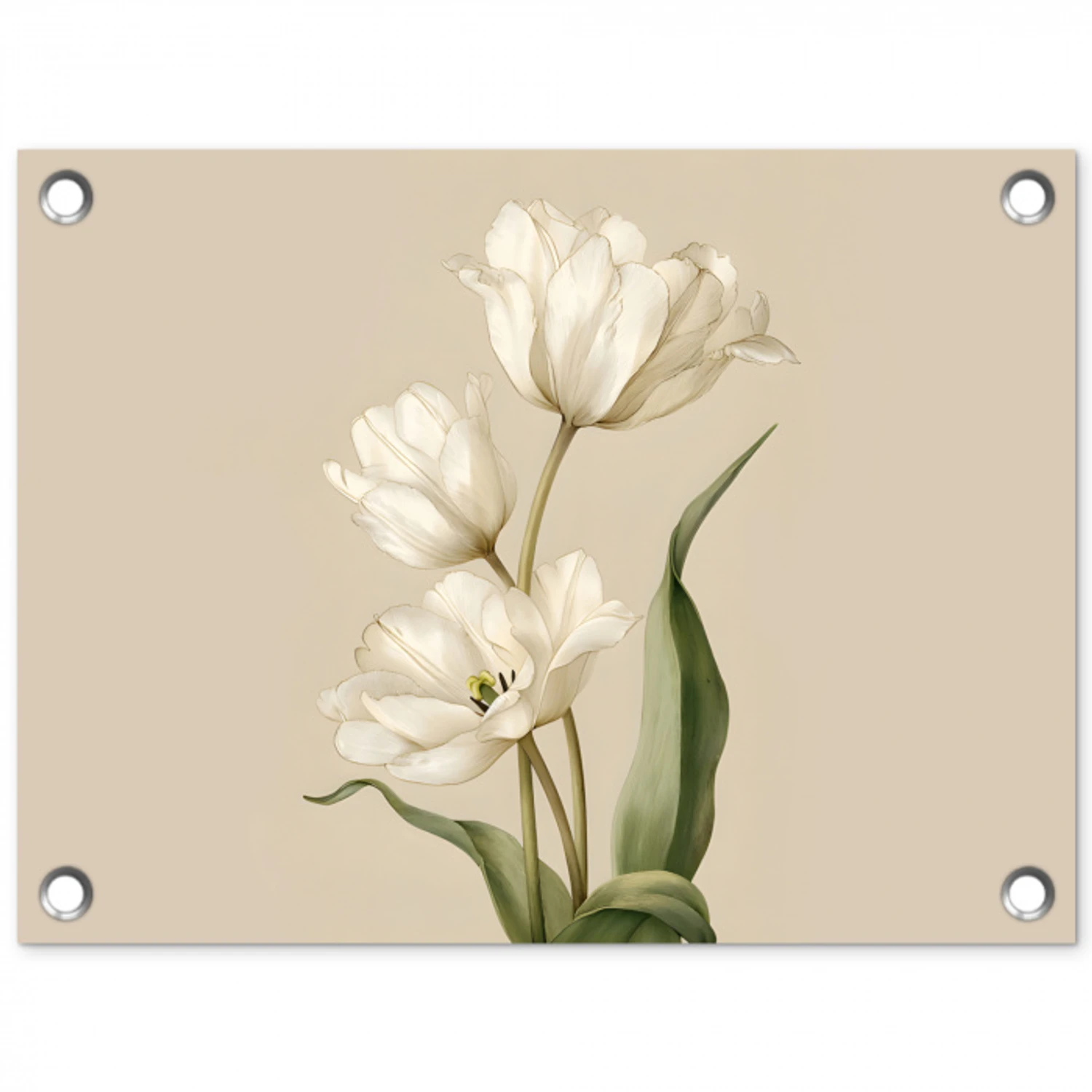 Poster de jardin - Tulipes - Blanc - Feuilles - Commandez dès ...